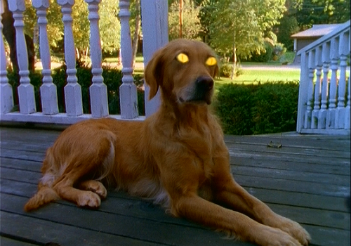 Television! Teacher, mother, secret lover.